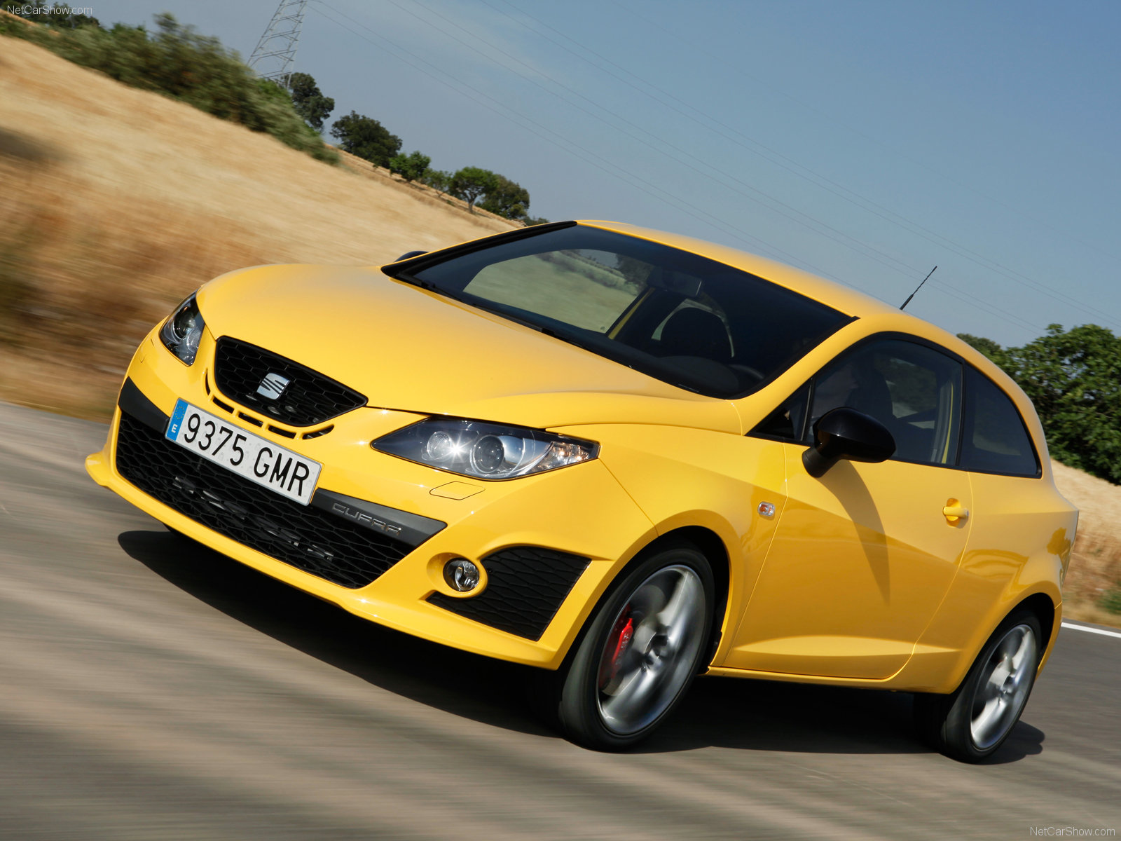 My perfect Seat Ibiza Cupra. 3DTuning - probably the best car configurator!