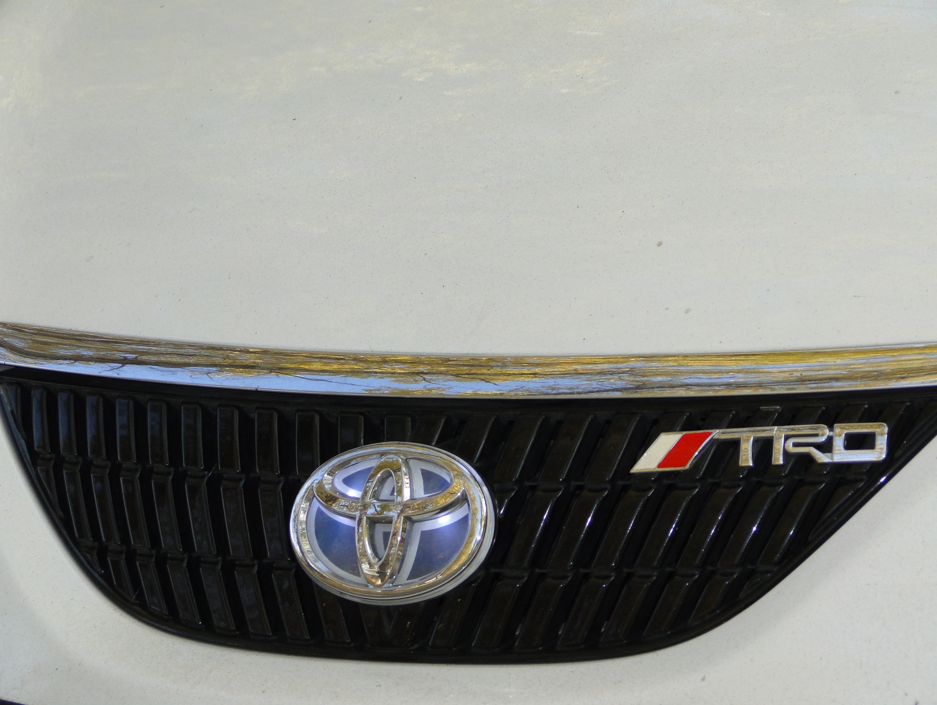 My perfect Toyota Camry Solara. 3DTuning - probably the best car ...
